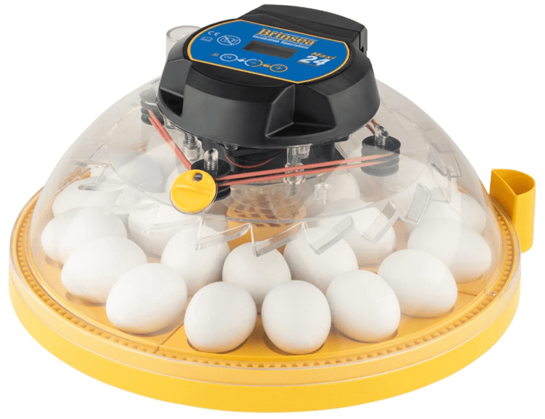 Best Egg Incubator For Beginners - Chicken Method