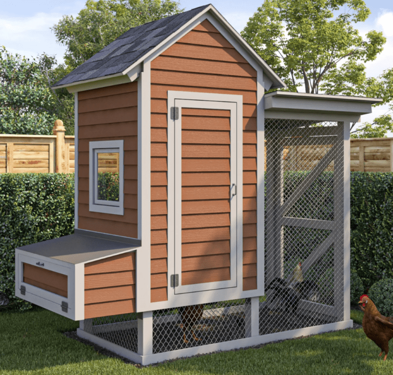 10 Cozy Chicken Coop Designs For All Seasons - Chicken Method