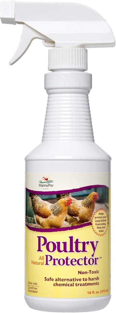How To Provide Proper Ventilation In Winter Chicken Coops - Chicken Method